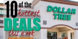 10 of the Most Popular Deals at Dollar Tree This Week | Living Rich ...