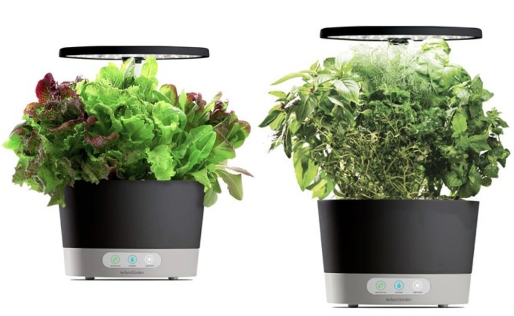 Aerogrow AeroGarden Harvest 360 $79.95 (Reg.$149.95) | Living Rich With ...