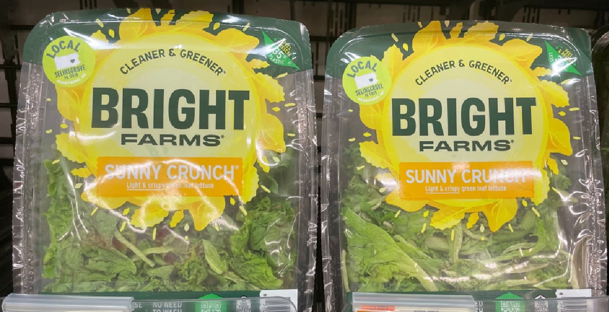 Bright Farms Salads as low as $1.50 at Stop & Shop | Living Rich With ...