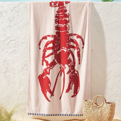 Beach Towels at Target Starting at just $5.00 | Refresh for Summer ...